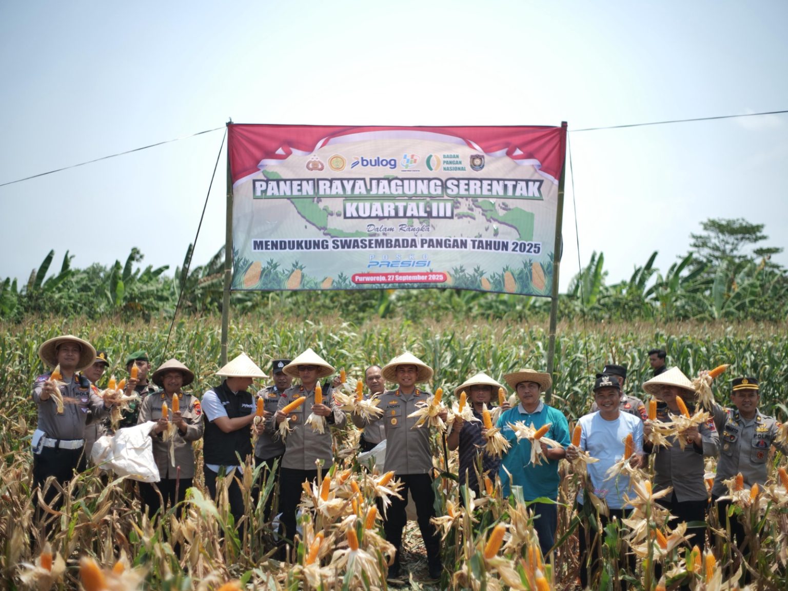 Dukung Ketahanan Pangan, Polres Purworejo Laksanakan Panen Raya Jagung Serentak Kuartal III di ...